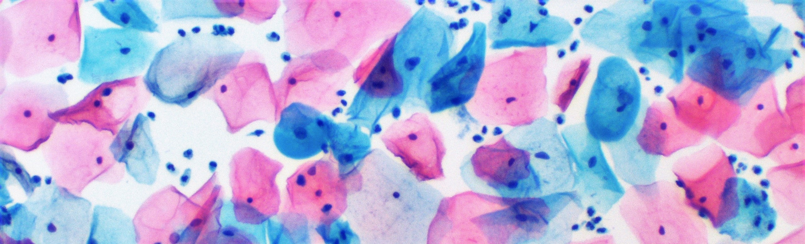 Brief About Cytology: Definition, Advantages, and Methods. – Innovative ...